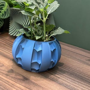 The "erna" Planter | Modern Contemporary | Cactus Succulent House | Home Office Decor | 3D Gift ...