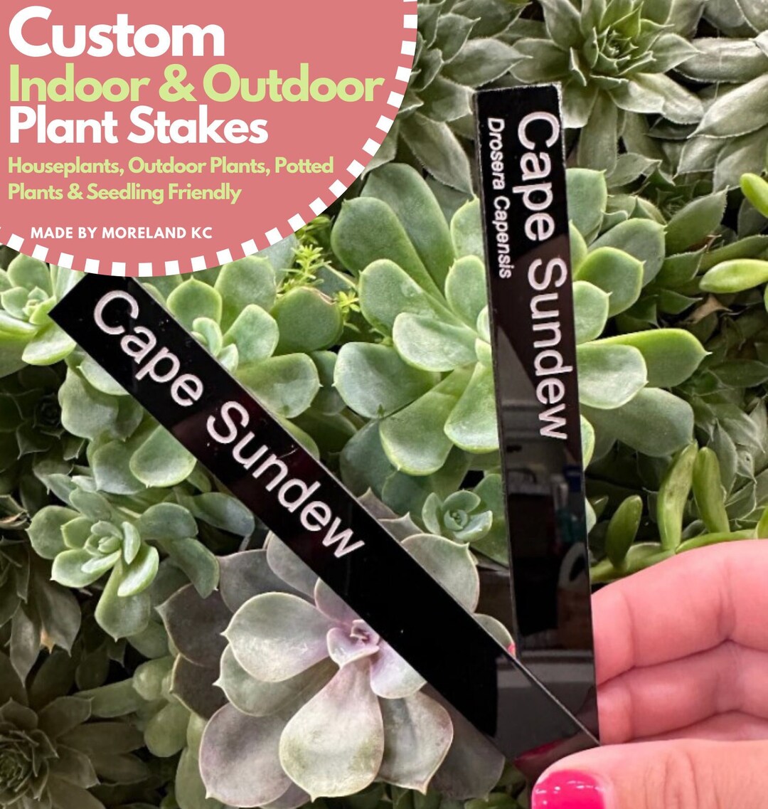 Mini Custom Plant Tags Acrylic Engraved Acrylic 6 Tall Houseplant Gift ...
