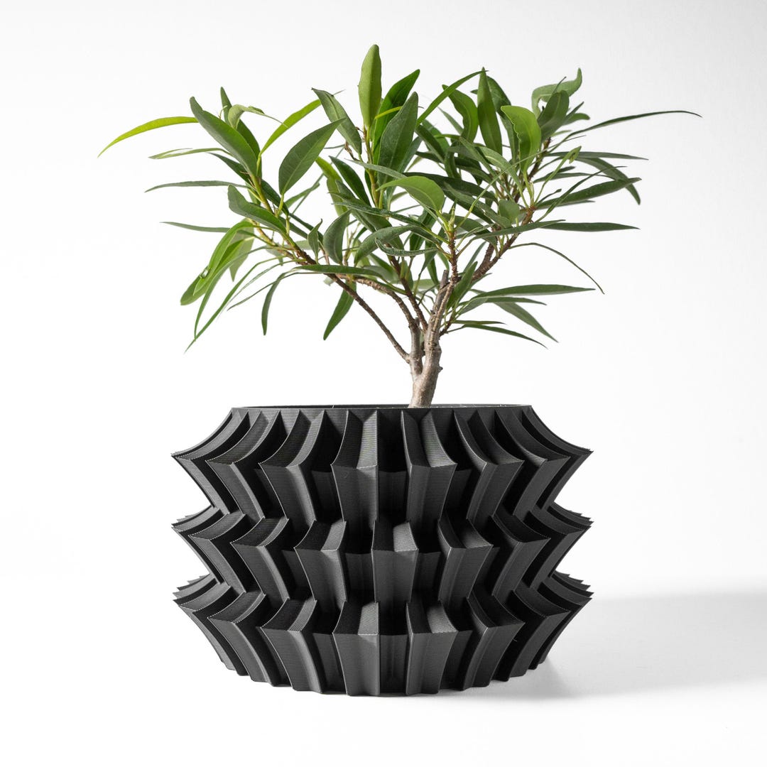 The "jori" Rigid Design Planter | SHIPS FREE | Cactus Monstera ...
