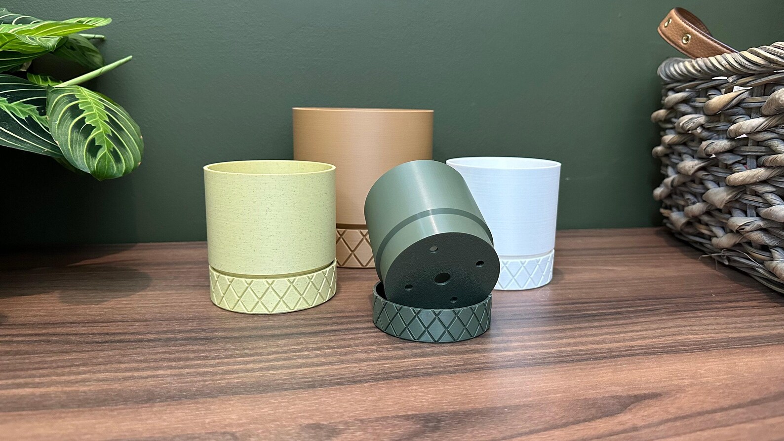 Simple Plant Pot | Modern Design Plant Pot | House Plant | Home Office ...