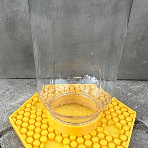 Pollinator Watering Station Customize Depth Small Mouth Mason Jar | Bee ...