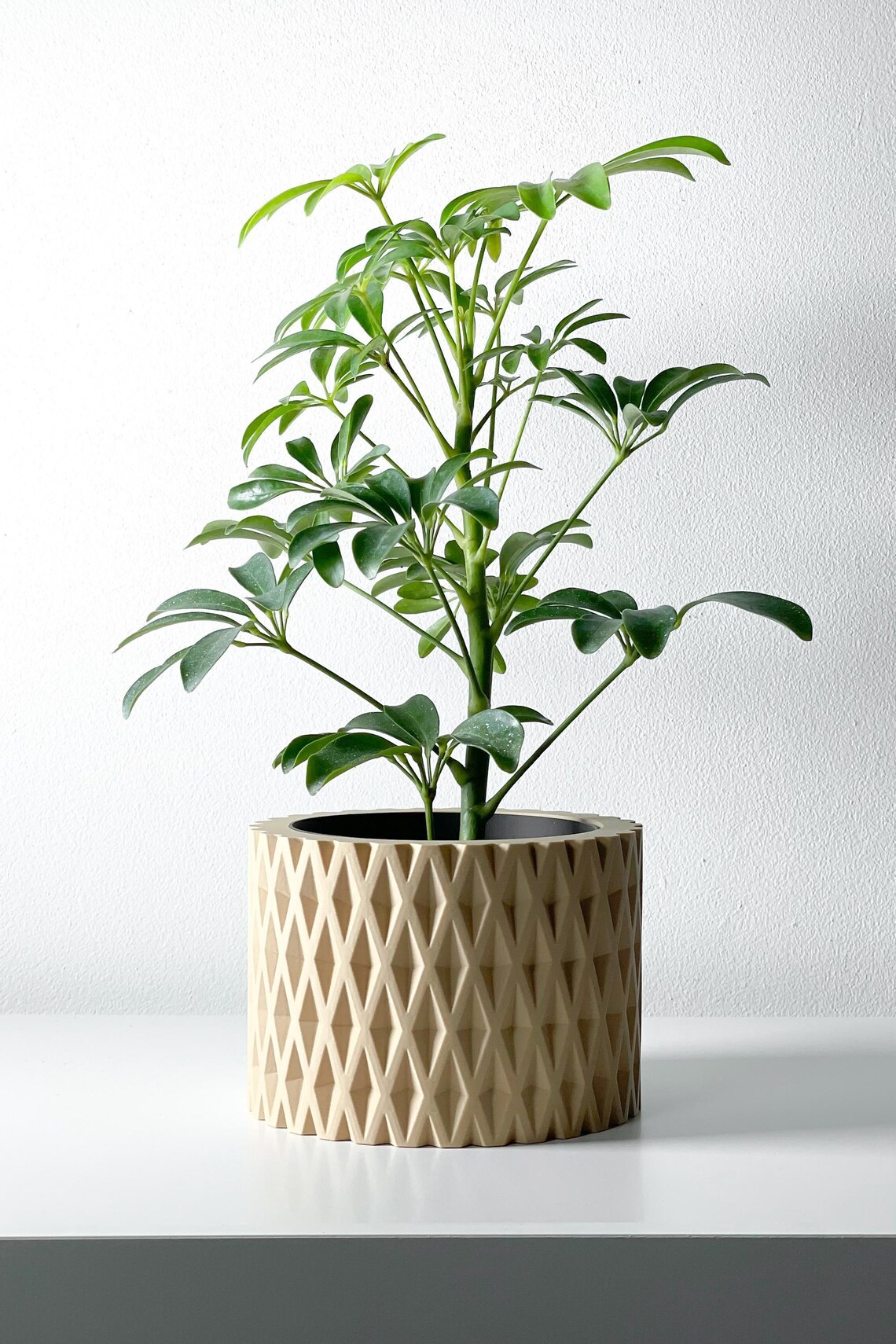 A "grivan" Trendy Plant Pot | Modern Design | Succulent House Plant ...