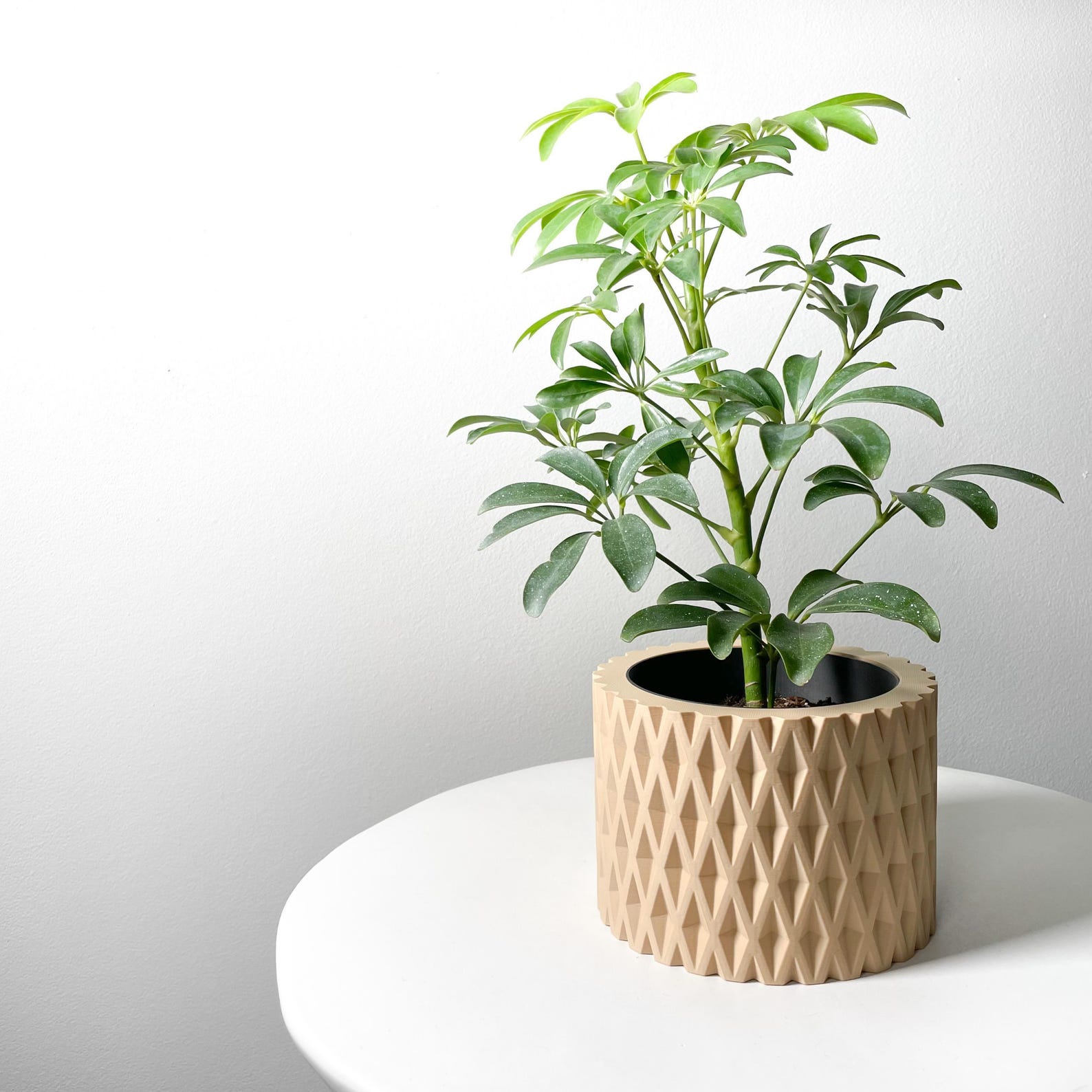A "grivan" Trendy Plant Pot | Modern Design | Succulent House Plant ...