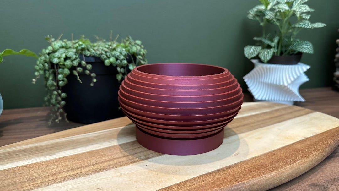 The "frons" Planter Pot | Modern Planter Pot | Succulent Cactus Snake ...