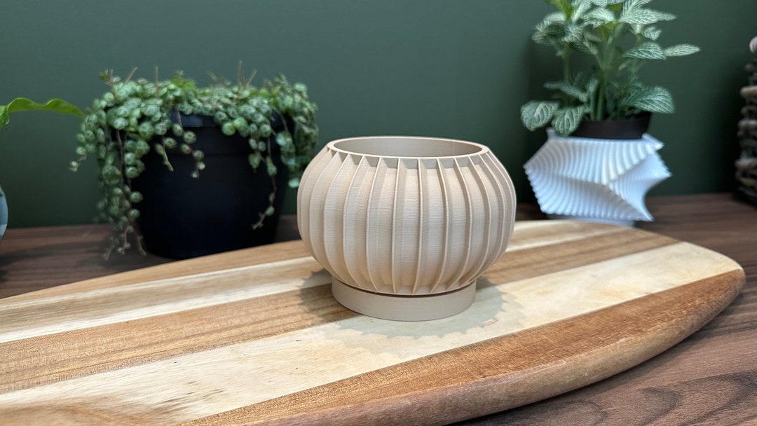 The sora Planter Pot Modern Planter Pot Succulent Cactus House Plant ...