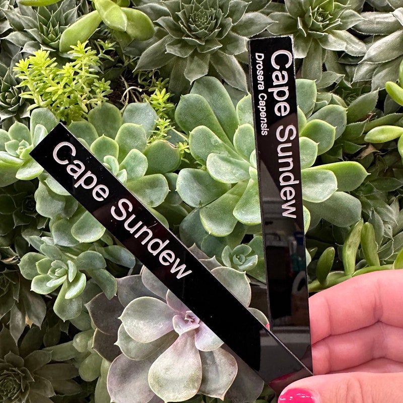 Plant Tags - Etsy
