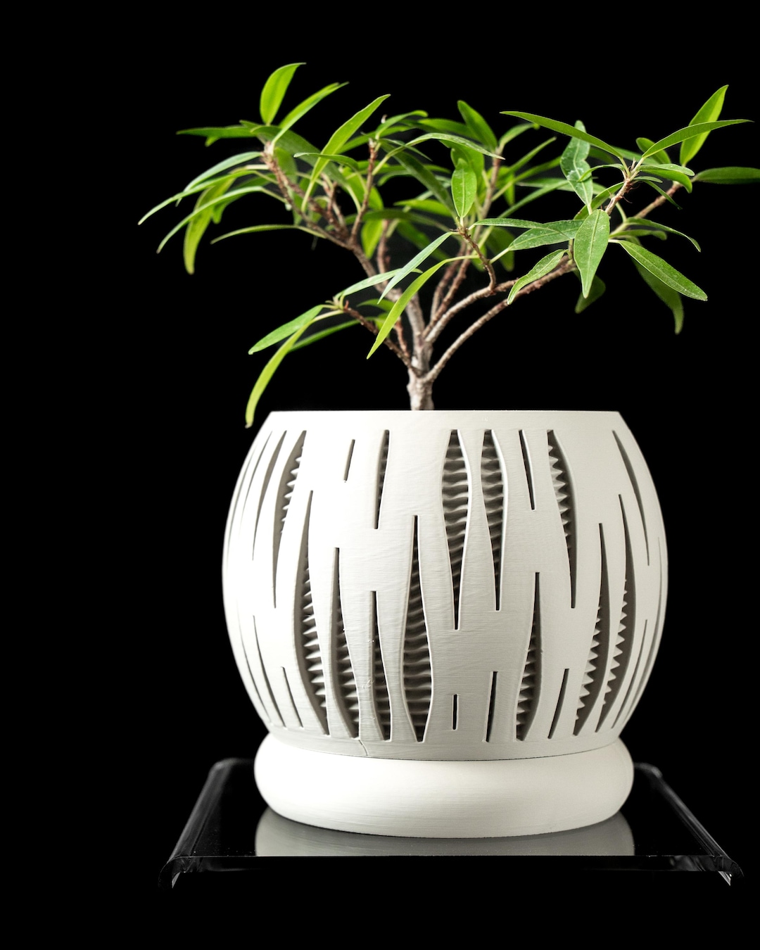 The "split" Custom 3D Made Planter | Cut Out Unique Design | Succulent ...