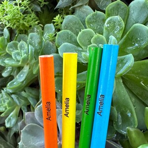 Custom Personalized Crayola Colored Pencils | Bold or Regular Text | 12 ...