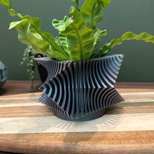 A “ANIO” 3D Custom Printed Wacky Planter Pot | Modern Home Office Decor ...