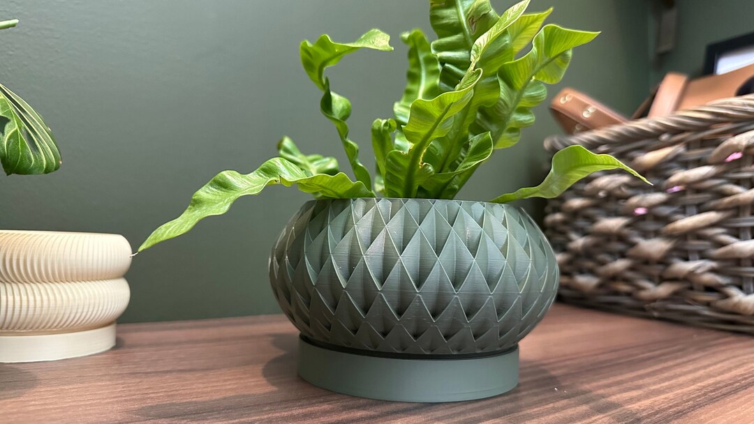 Diamond Planter Pot Modern Sleek Design Planter Succulent House Plant ...