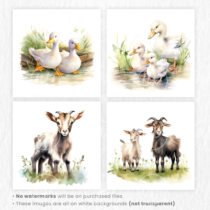 Farm Animals Watercolor Clipart, JPG Bundle, Instant Download, 20 High ...