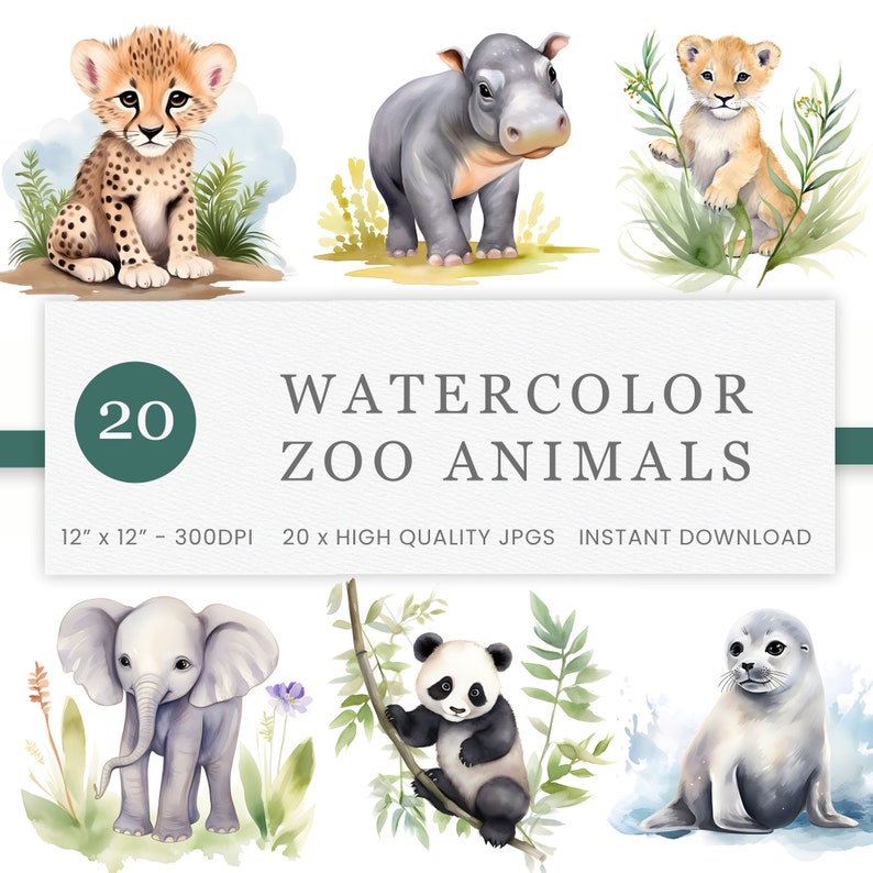Baby Zoo Animals Watercolor Clipart, JPG Bundle, Instant Download, 20 ...