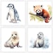 Baby Zoo Animals Watercolor Clipart, JPG Bundle, Instant Download, 20 ...