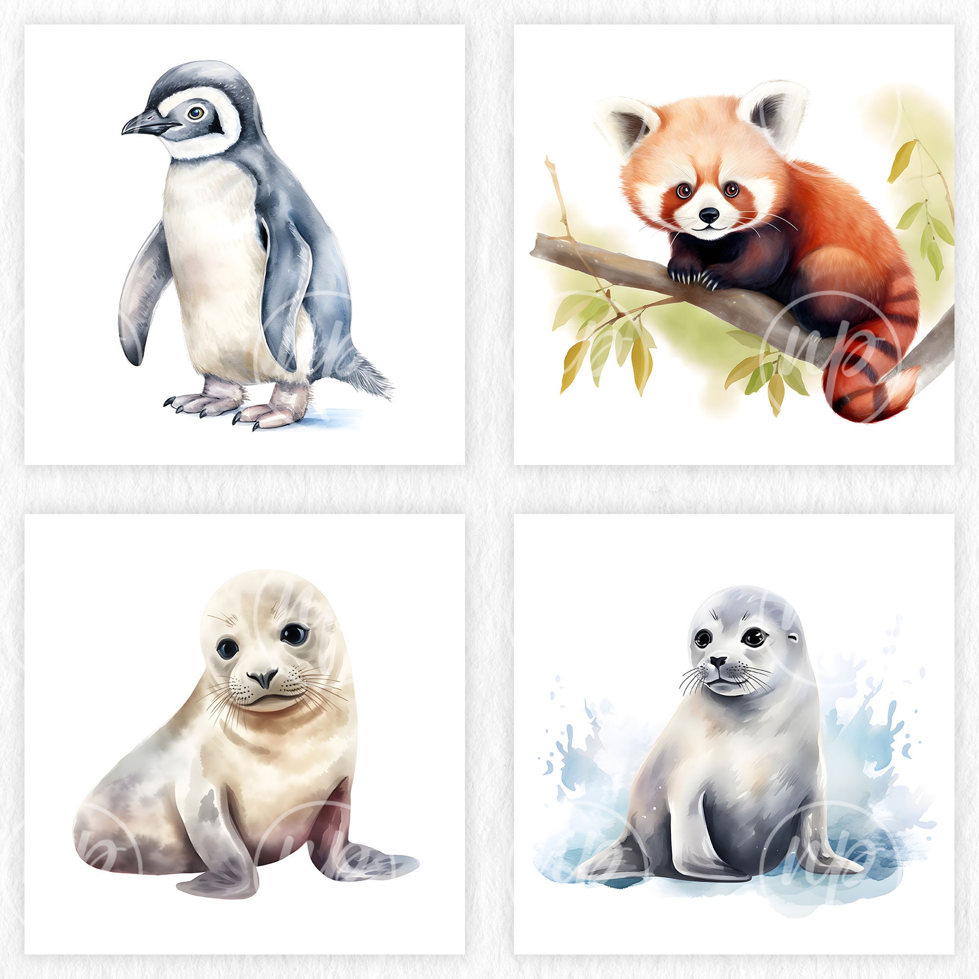 Baby Zoo Animals Watercolor Clipart, JPG Bundle, Instant Download, 20 ...