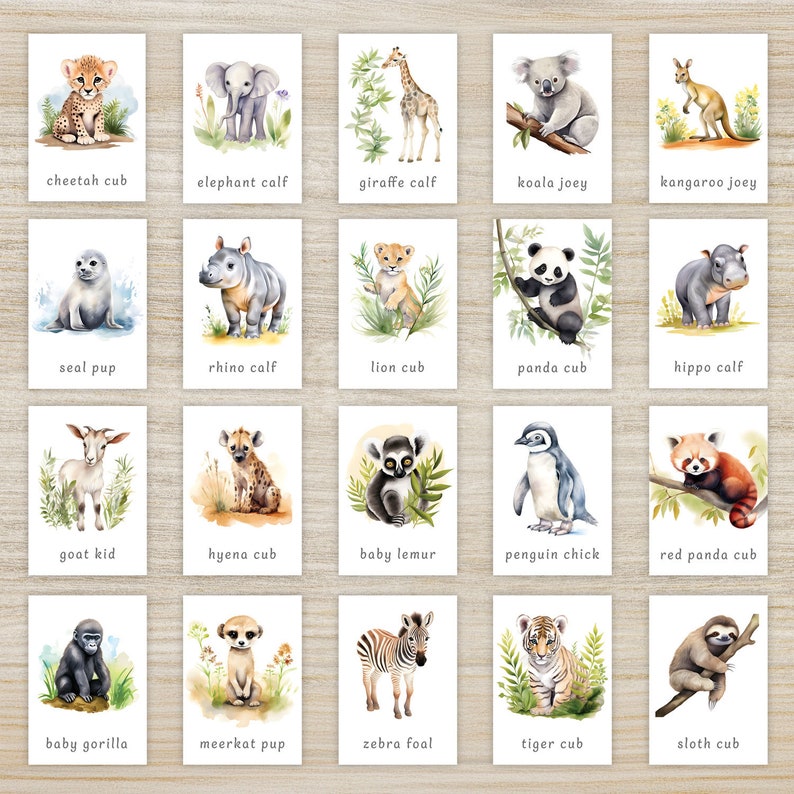 20 Baby Zoo Animals Cards, Montessori Flash Cards, Pre-school and Kids ...