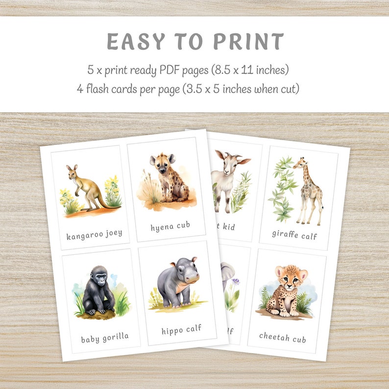 20 Baby Zoo Animals Cards, Montessori Flash Cards, Pre-school and Kids ...