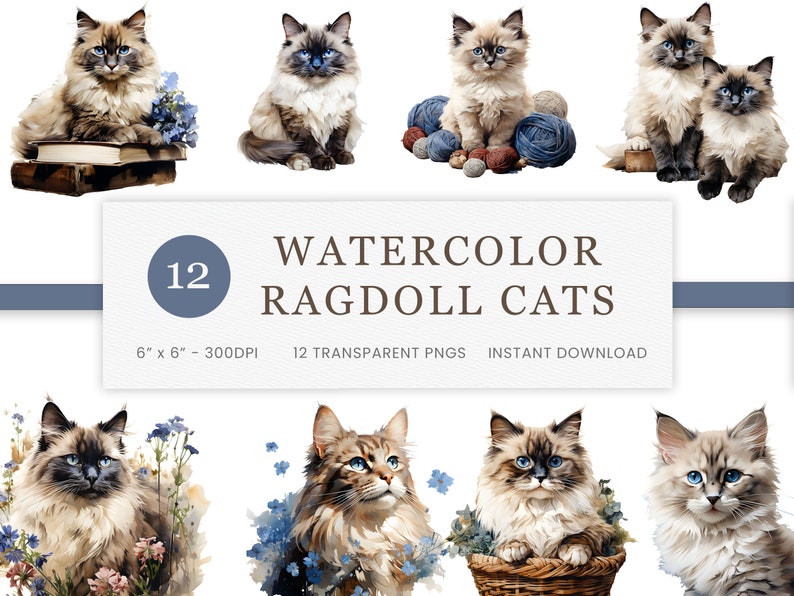 Ragdoll Cats Watercolor Clipart Instant Download Transparent Background ...