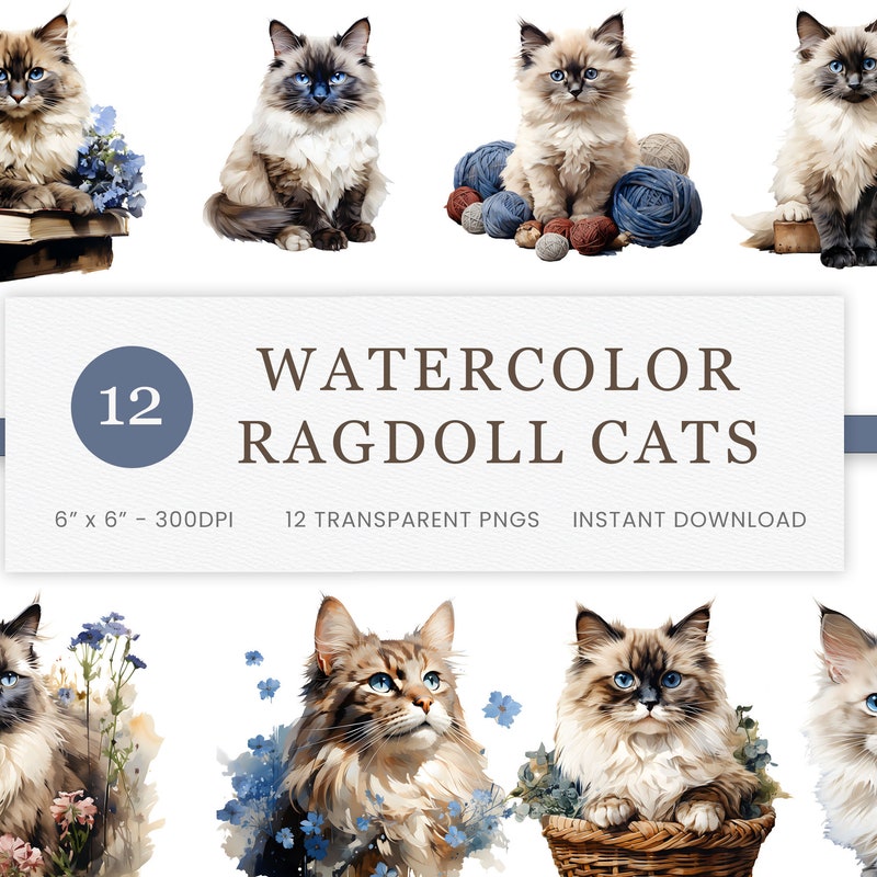 Ragdoll - Etsy