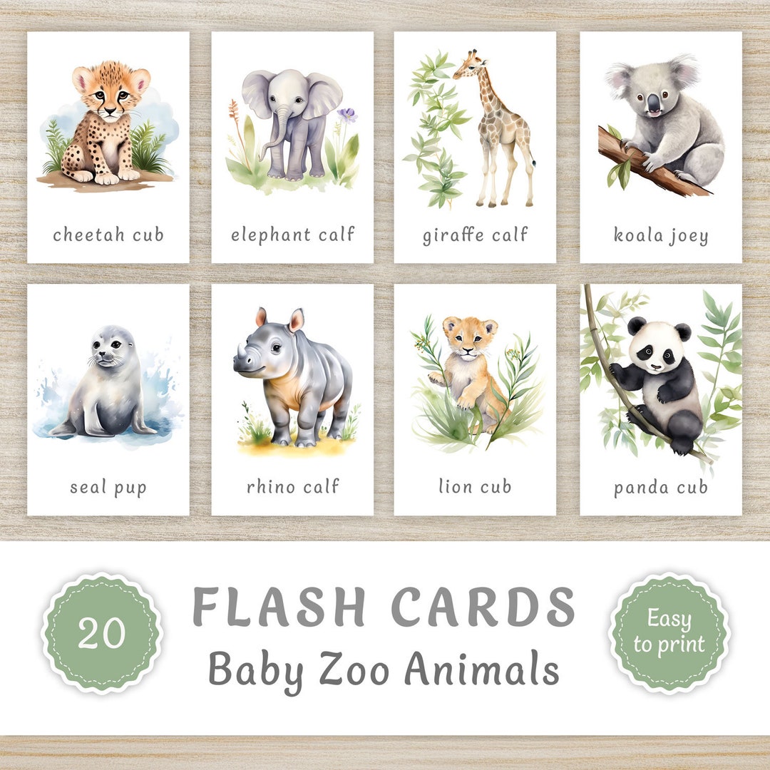 20 Baby Zoo Animals Cards, Montessori Flash Cards, Pre-school and Kids ...
