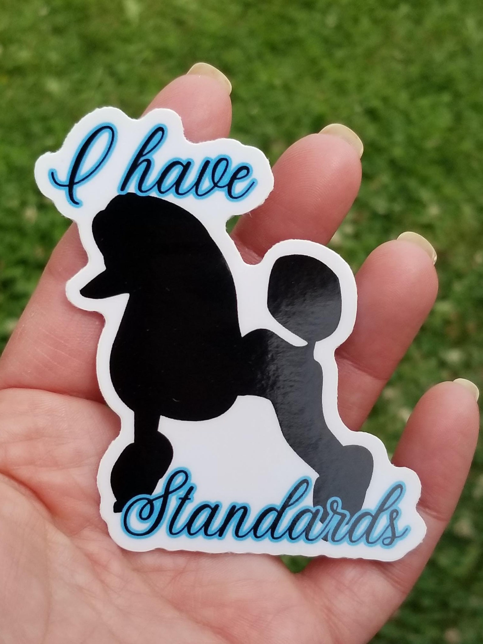 I Have Standards, Funny Dog Grooming Sticker, Standard Poodle, Anti ...