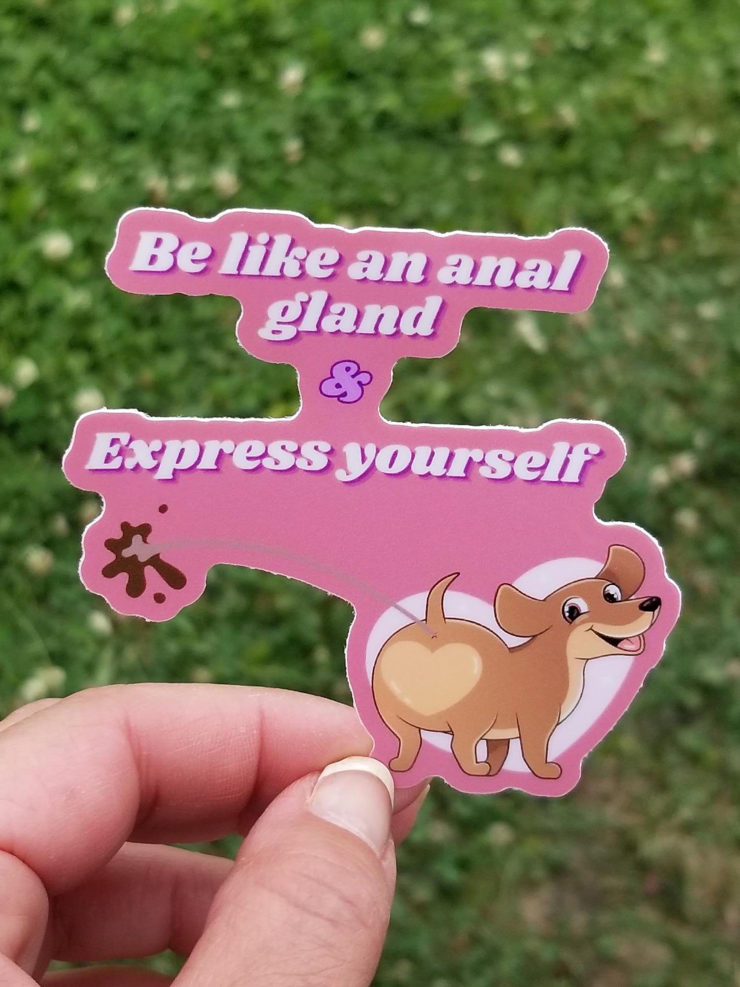 Veterinary Sticker, Be Like an Anal Gland and Express Yourself, Custom ...