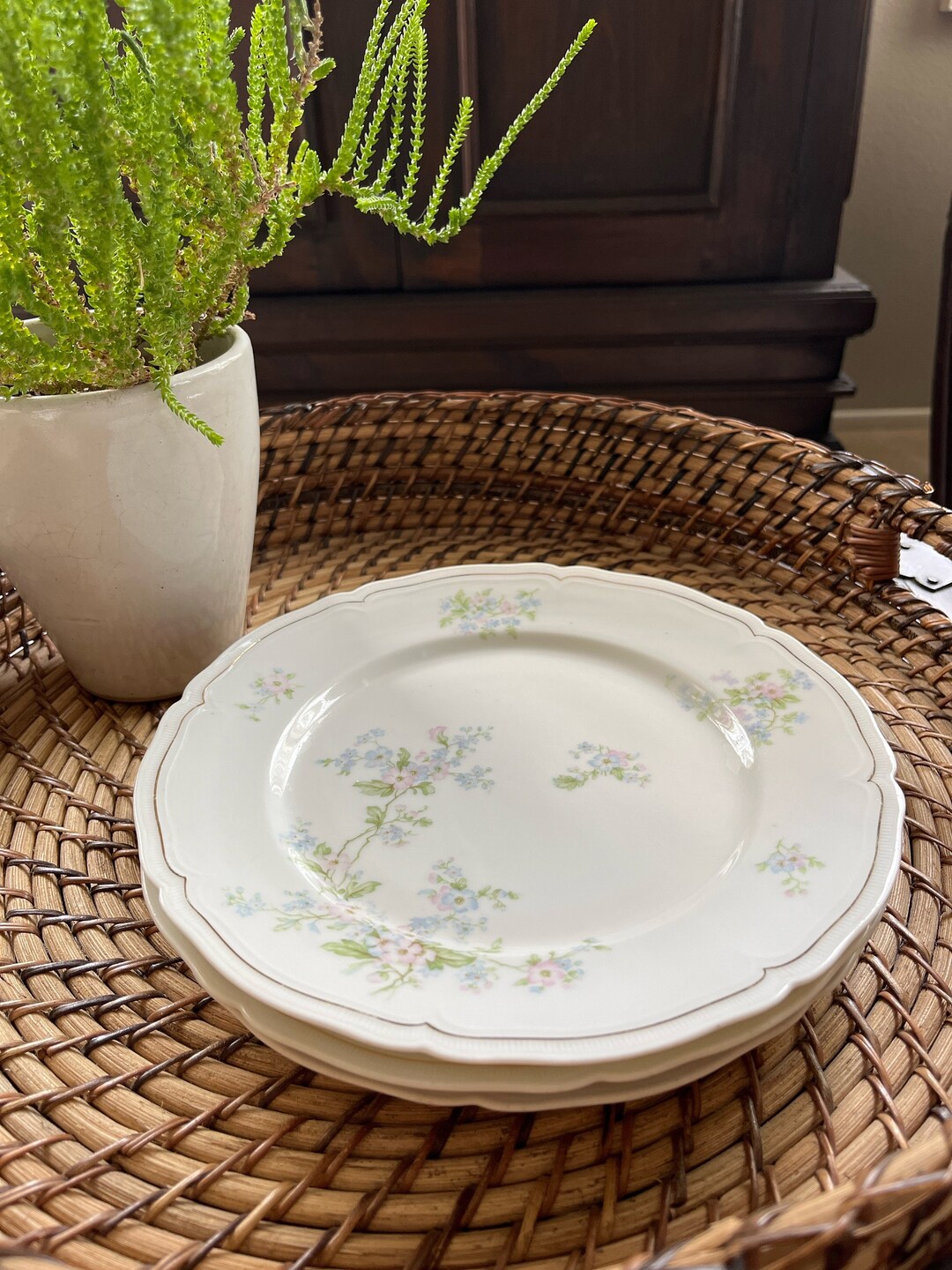 Antique Early 1900s Vienna Dinner Plate/set of 3 With Floral Design and ...