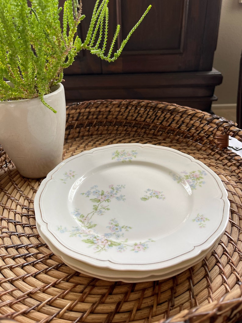 Antique MZ Vienna Dinner Plates Set of 3, Pink Blue Floral Porcelain ...