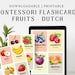 Dutch Fruit Flashcards With Pronunciation | Learn Dutch Fruit Names ...