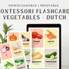 Dutch Alphabet Flashcards With Pronunciation Learn Dutch Letters and ...