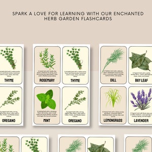 Enchanted Herb Garden Flashcards - Digital Download for Kids - Learn ...
