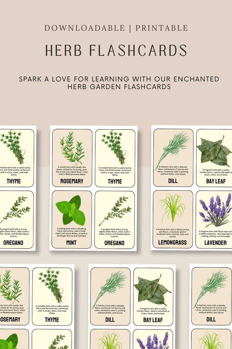 Enchanted Herb Garden Flashcards - Digital Download for Kids - Learn ...