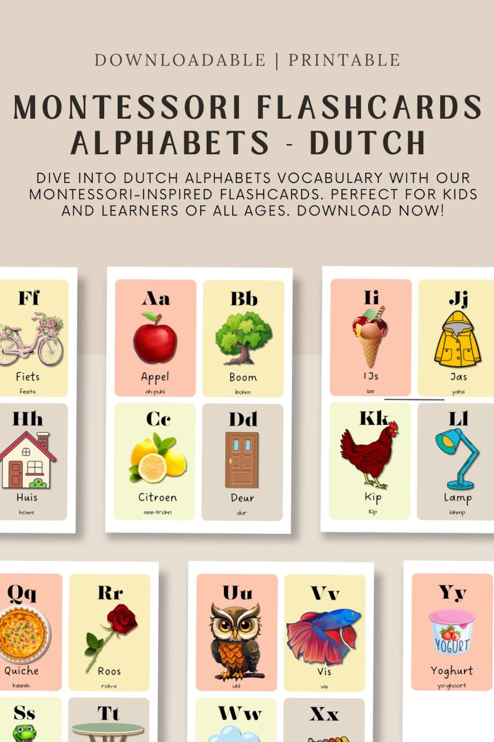 Dutch Alphabet Flashcards With Pronunciation Learn Dutch Letters and ...