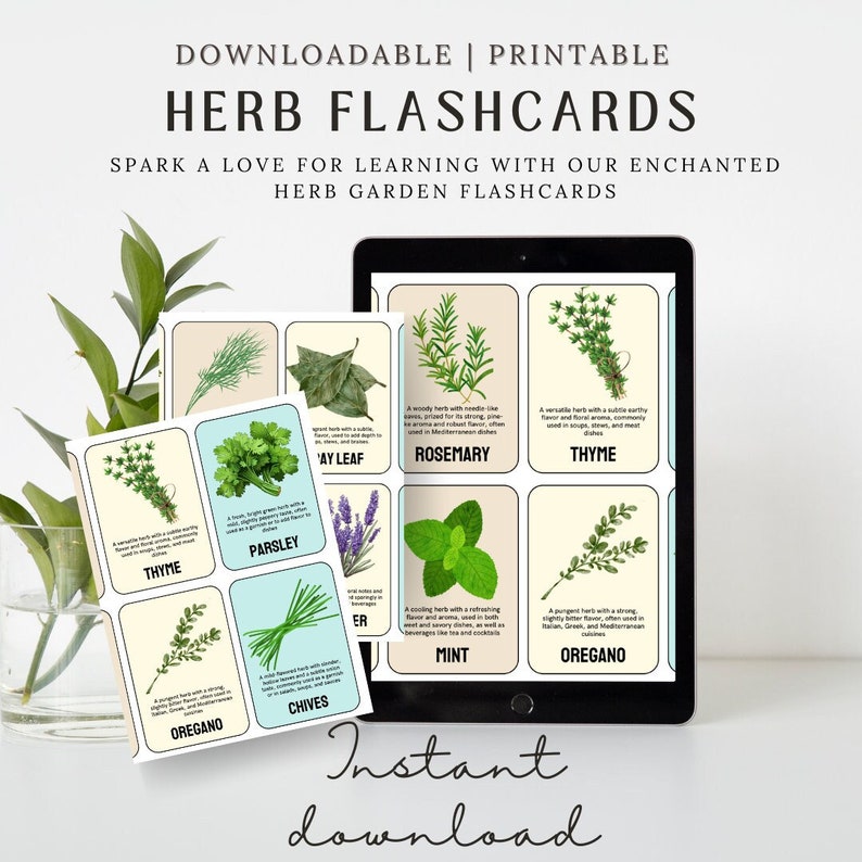 Enchanted Herb Garden Flashcards - Digital Download for Kids - Learn ...