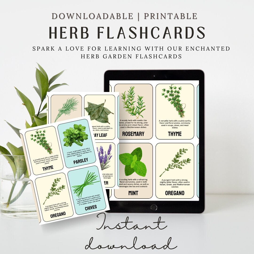 Enchanted Herb Garden Flashcards Digital Download for Kids Learn About ...