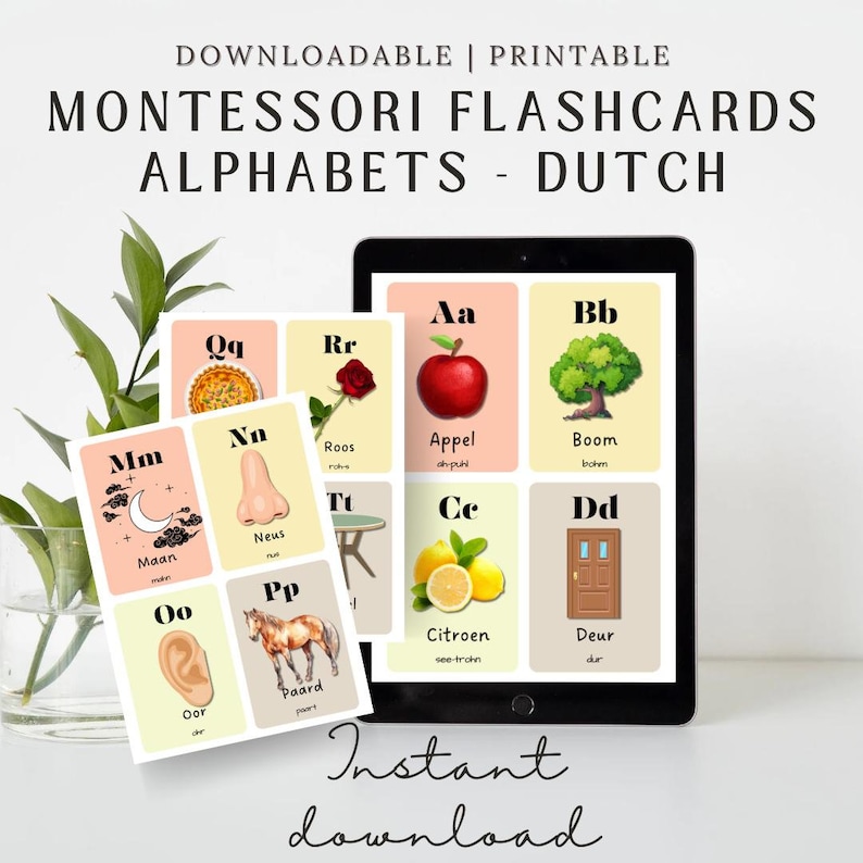 Dutch Alphabet Flashcards With Pronunciation | Learn Dutch Letters and ...