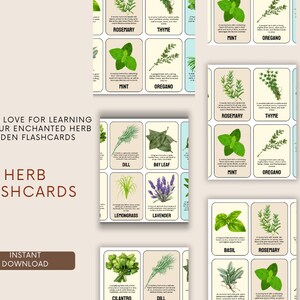 Enchanted Herb Garden Flashcards - Digital Download for Kids - Learn ...