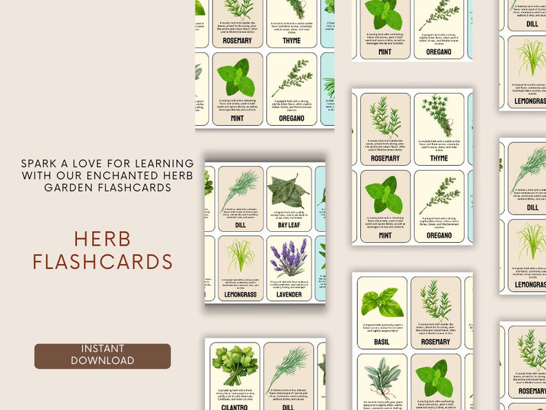 Enchanted Herb Garden Flashcards - Digital Download for Kids - Learn ...