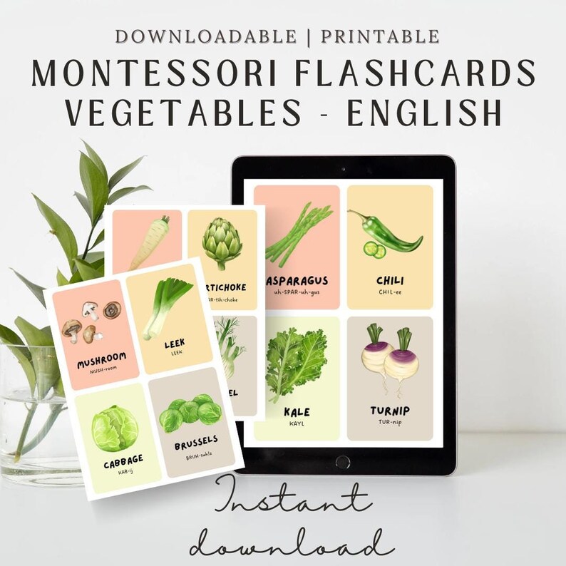 English Vegetable Flashcards: Montessori Learning (digital Download) - Etsy