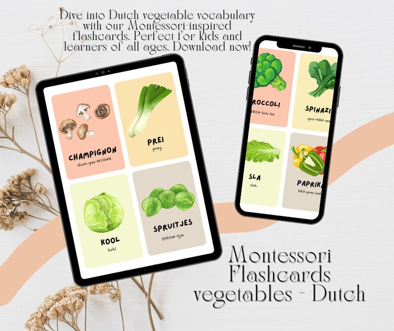 Dutch Vegetable Montessori Flashcards - Downloadable Learning Cards ...