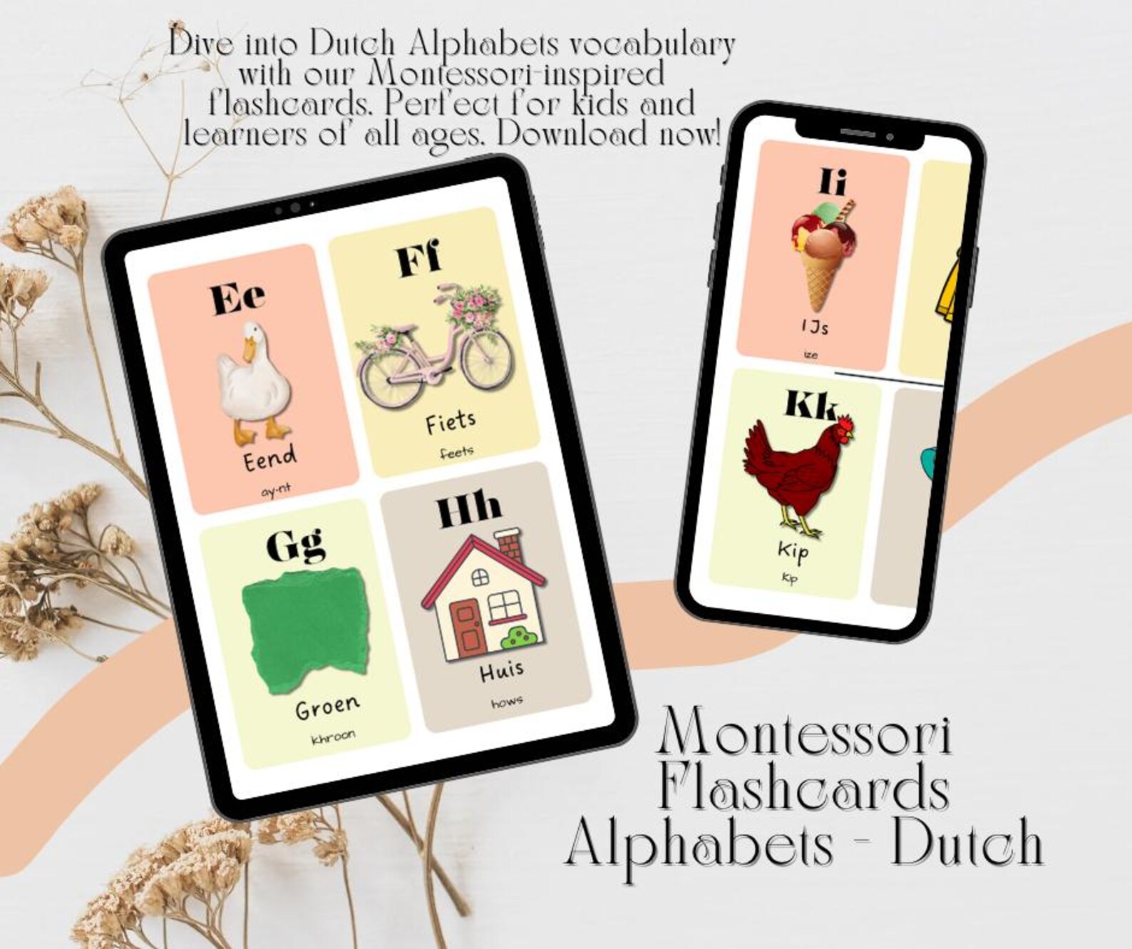 Dutch Alphabet Flashcards With Pronunciation Learn Dutch Letters and ...