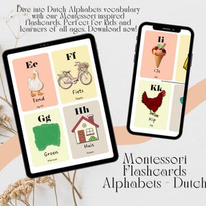 Dutch Alphabet Flashcards With Pronunciation | Learn Dutch Letters and ...
