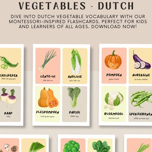 Dutch Vegetable Montessori Flashcards - Downloadable Learning Cards ...