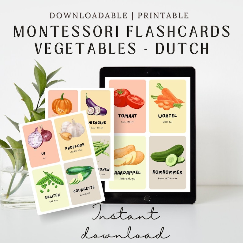 Dutch Vegetable Montessori Flashcards - Downloadable Learning Cards ...