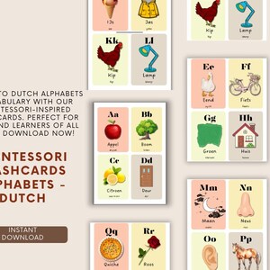 Dutch Alphabet Flashcards With Pronunciation | Learn Dutch Letters and ...