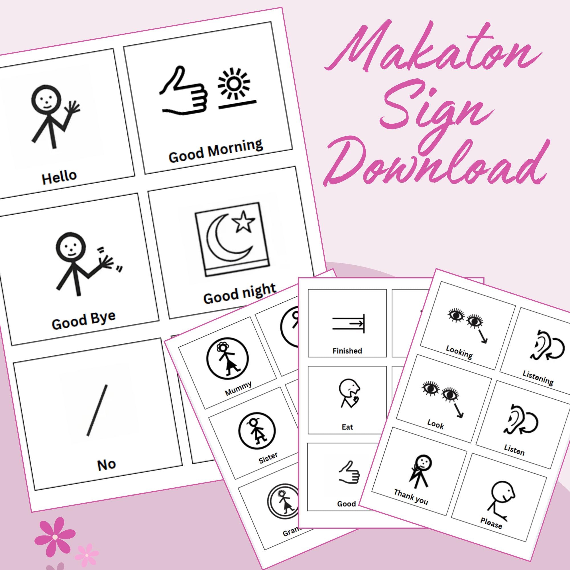 Makaton Communication Cards | Digital Download | Now Next Cards ...
