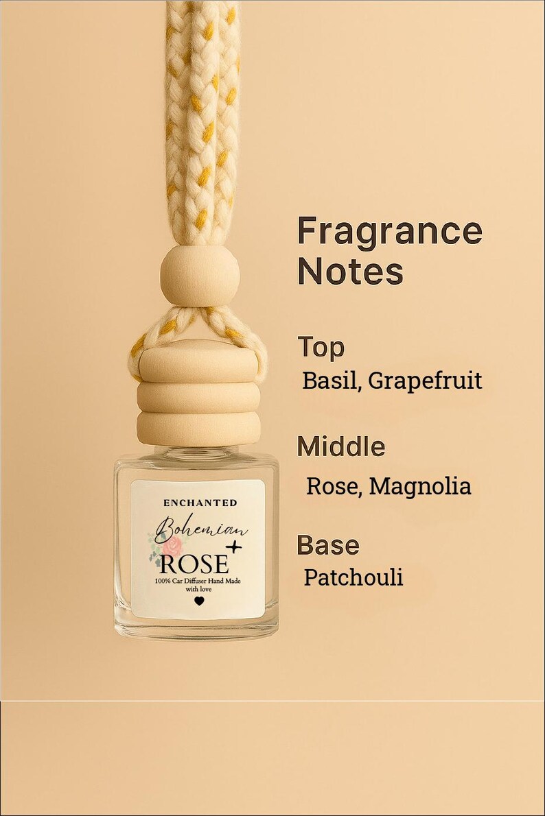 Hanging Car Diffuser Scents for Car Gift Car Air Freshener Car Freshie Scented Car Accessories ...