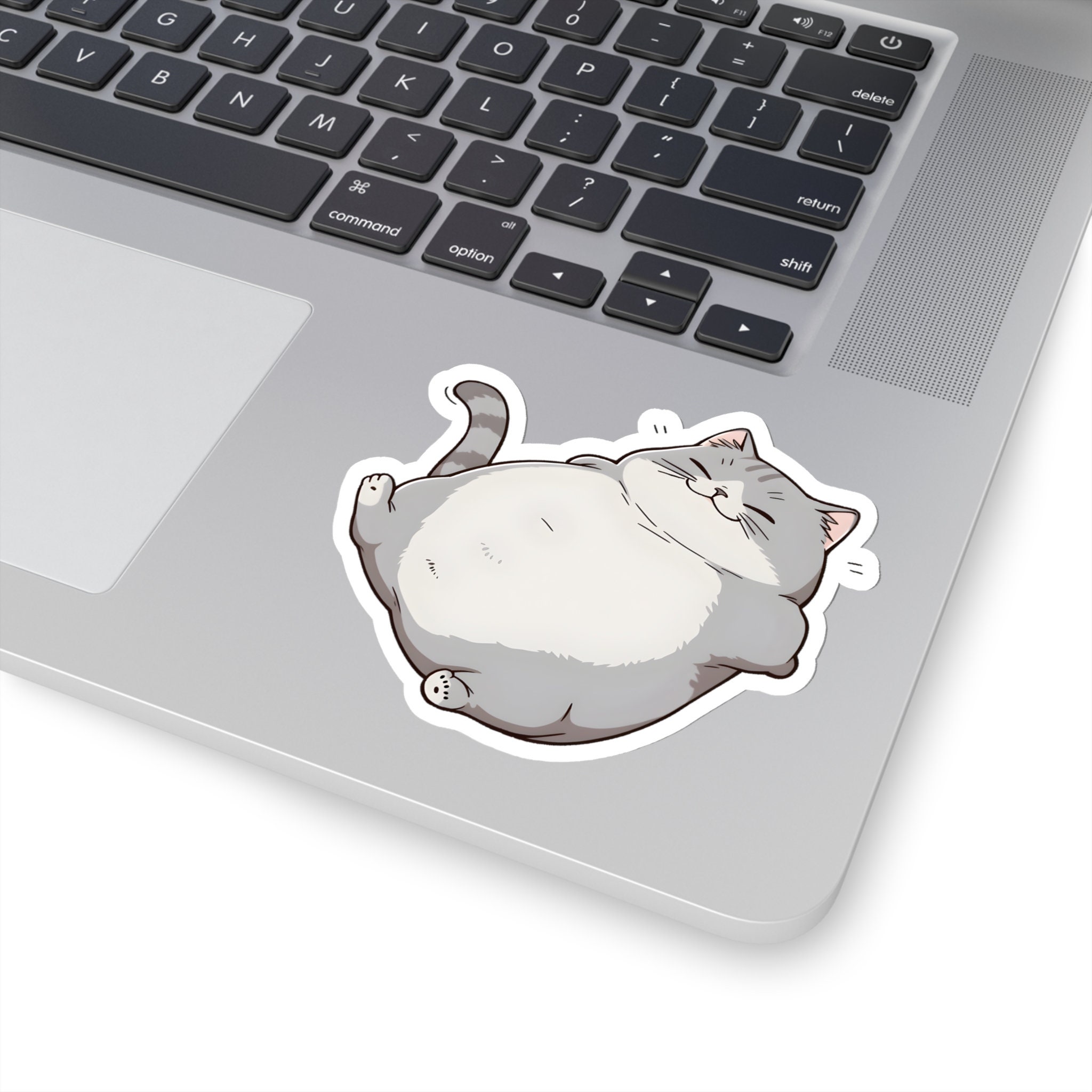Comfy Paws: Adorable Fat Cat Sticker - Etsy