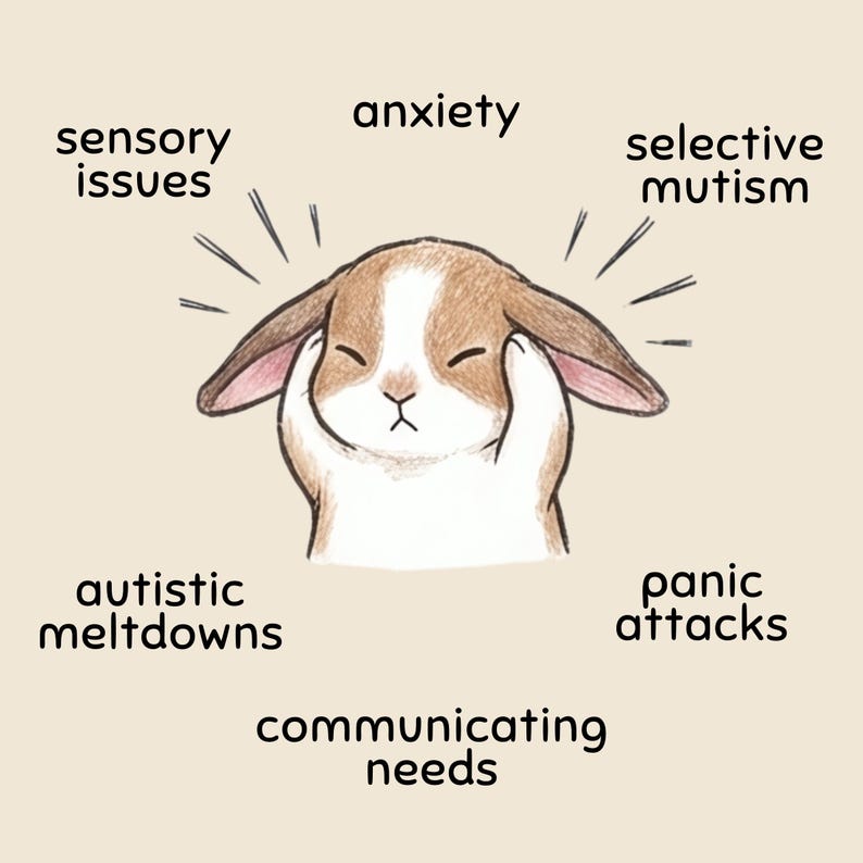 Autism Communication Cards for Meltdowns, Sensory Overload, ADHD ...