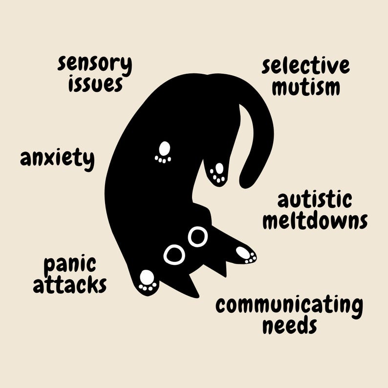 Autism Communication Cards for Meltdowns, Sensory Overload, ADHD ...