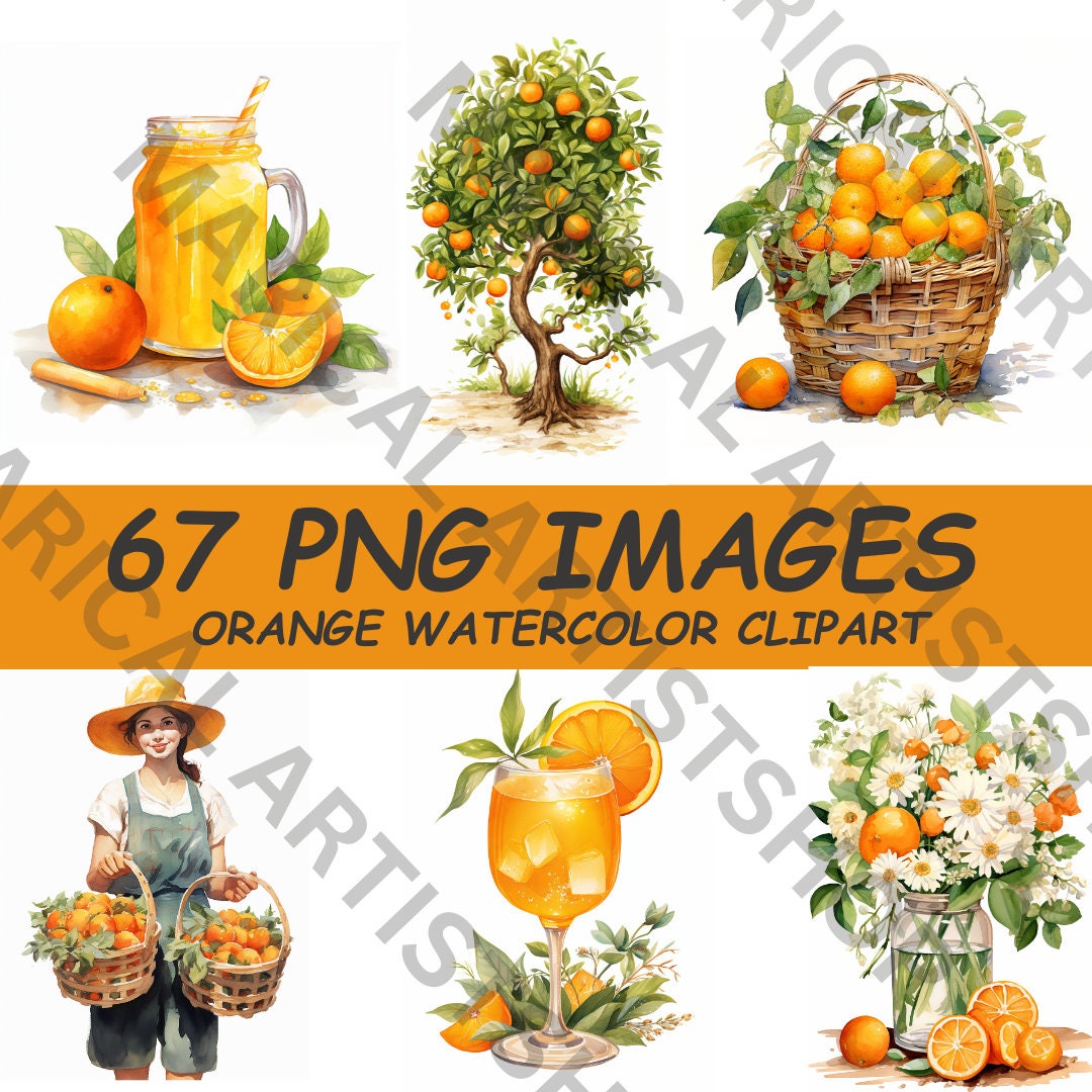 Watercolor Oranges Clipart PNG Images, Commercial Use Orange Digital ...